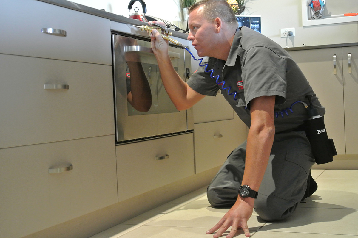 Our Gallery | Mr Termite Pest Control